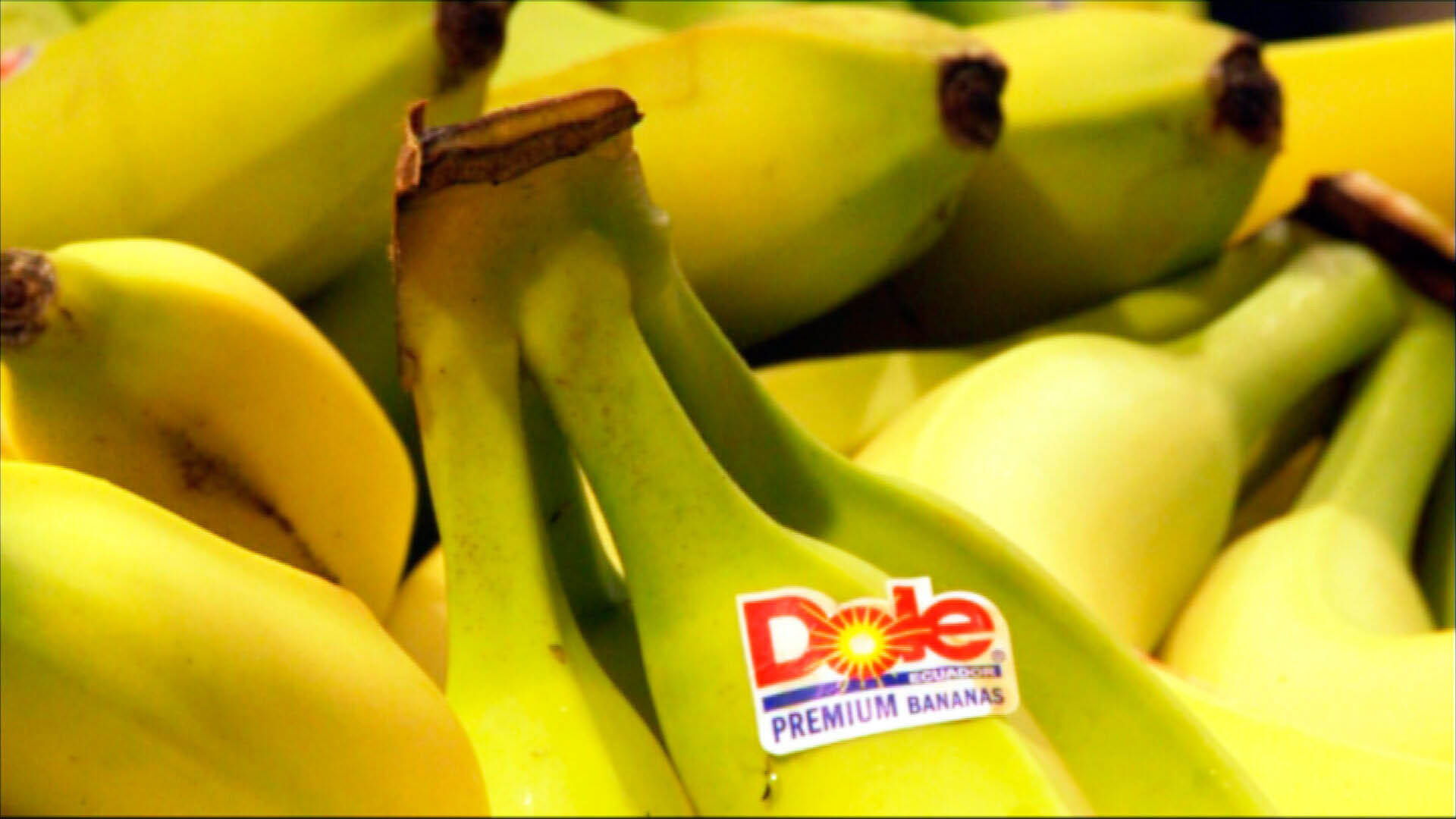 Big Boys Gone Bananas!* Panel Q&A - Bertha DocHouse