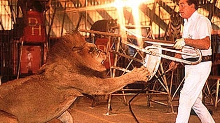 Fast, Cheap And Out Of Control - Bertha DocHouse