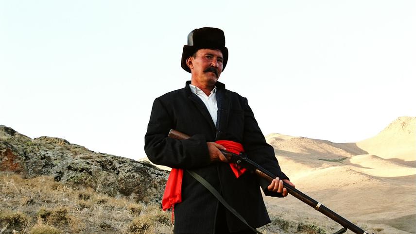 37 Uses for a Dead Sheep - Bertha DocHouse