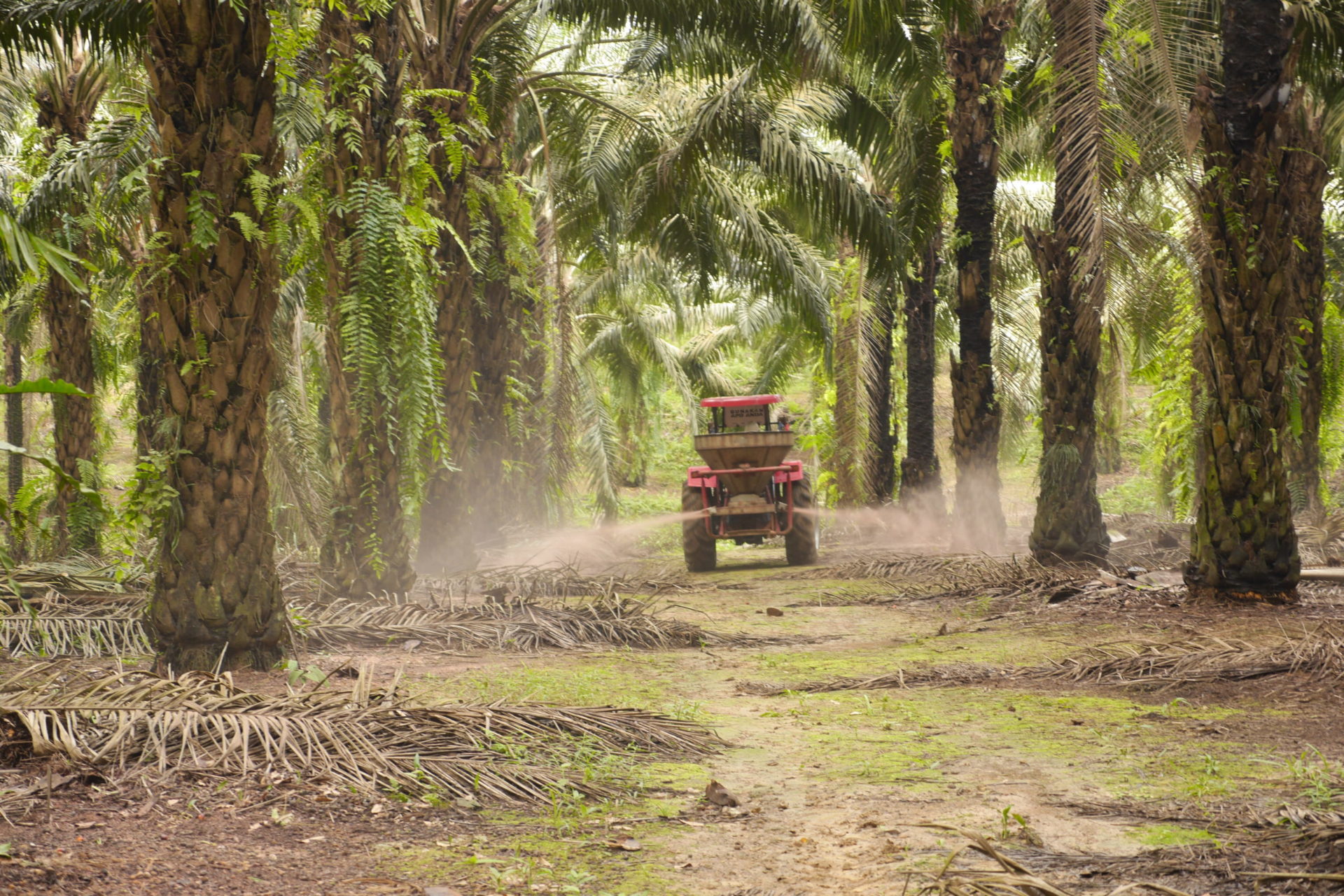 Land Grabbing - Bertha DocHouse